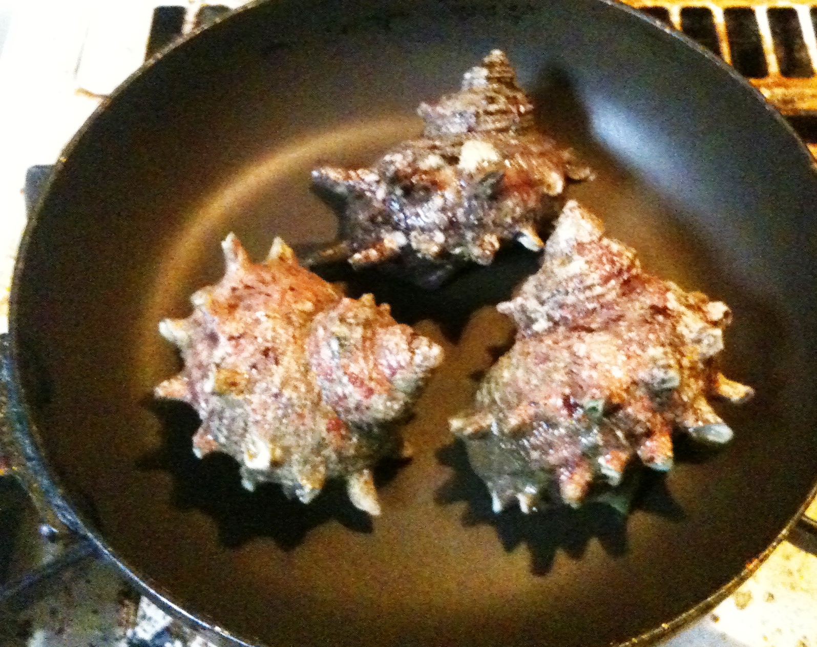 Tsuboyaki of Turban Shell (Sazae-no-Tsuboyaki) | Food in Japan