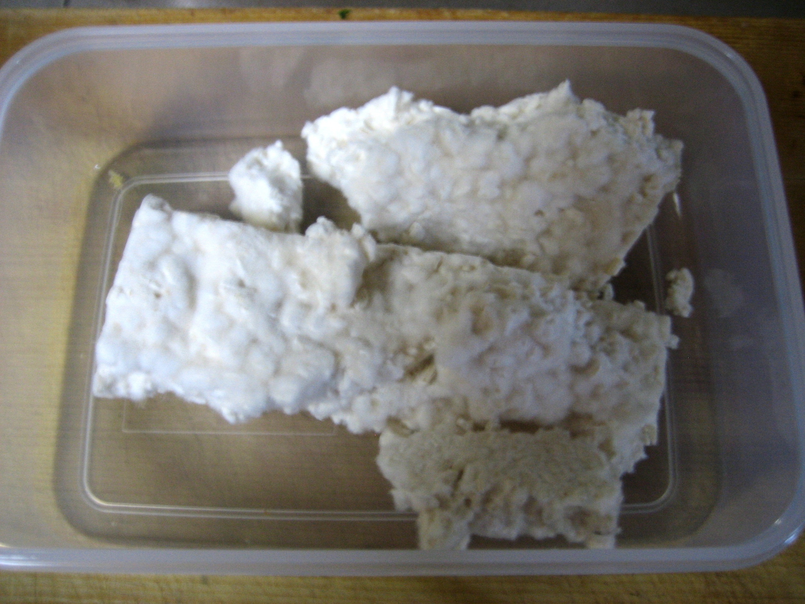 Salted Rice Malt (Shio Koji) | Food in Japan