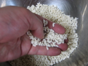 Salted Rice Malt (Shio Koji) | Food in Japan