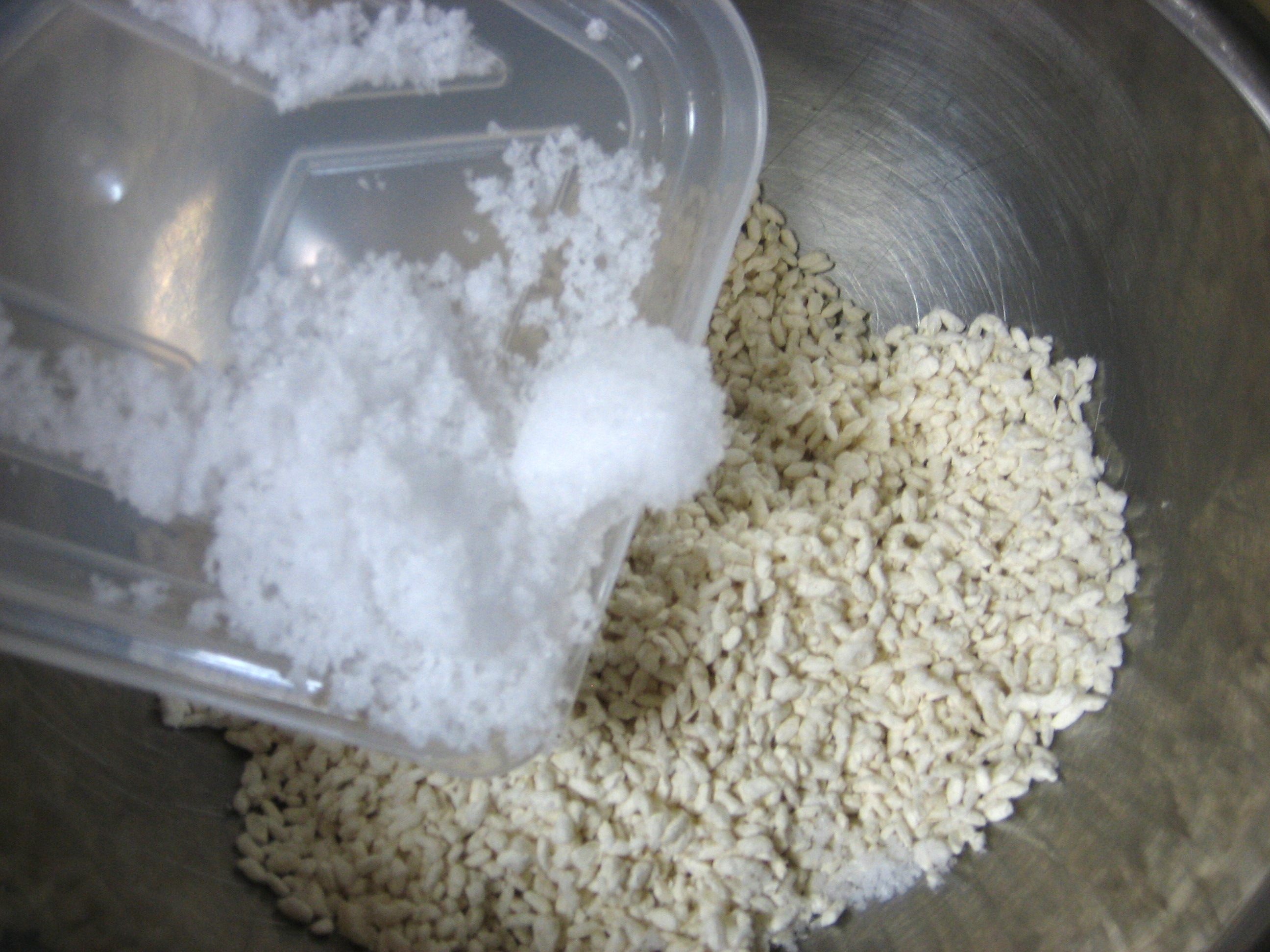 Salted Rice Malt (Shio Koji) | Food in Japan