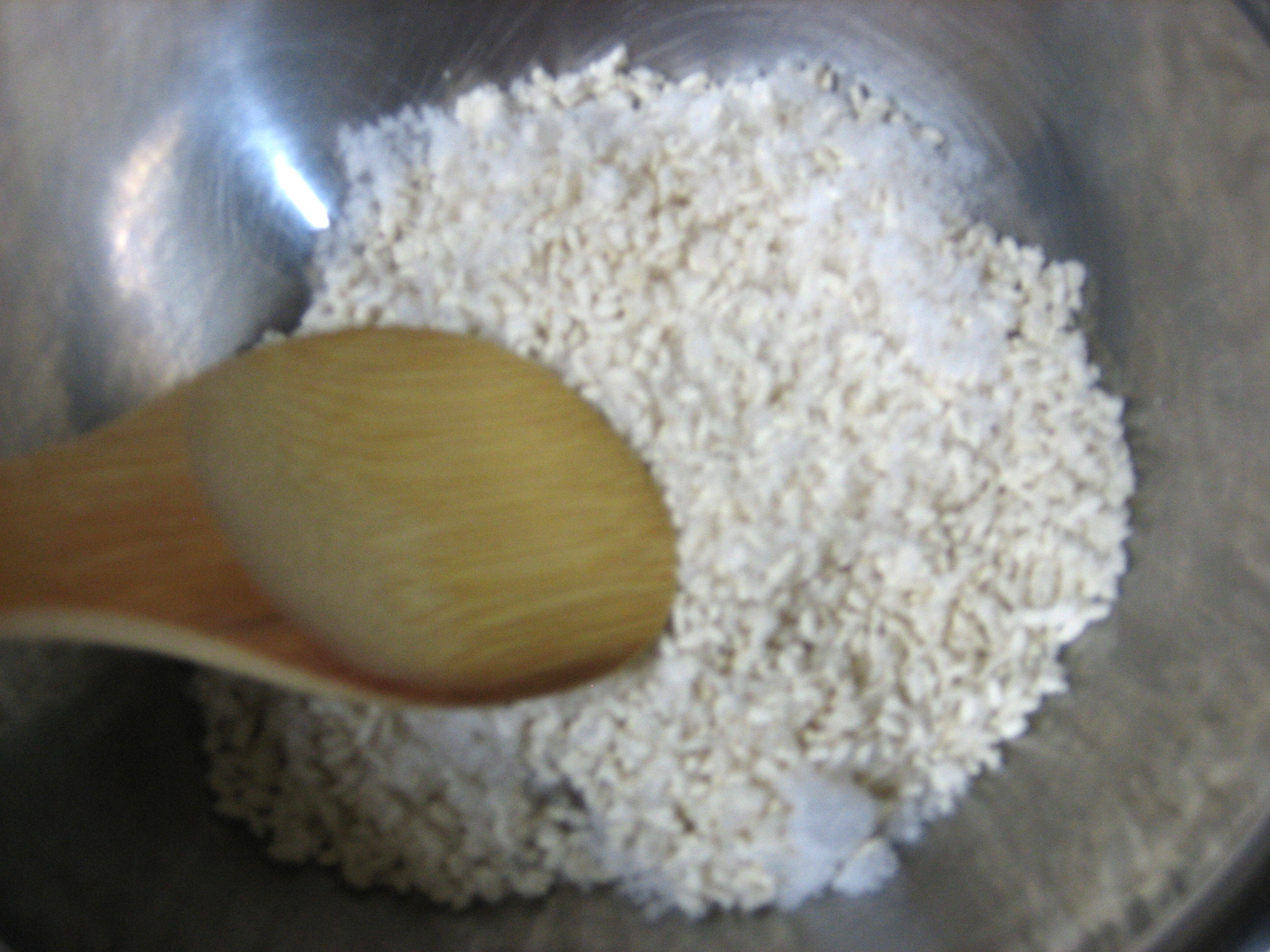Salted Rice Malt (Shio Koji) | Food in Japan