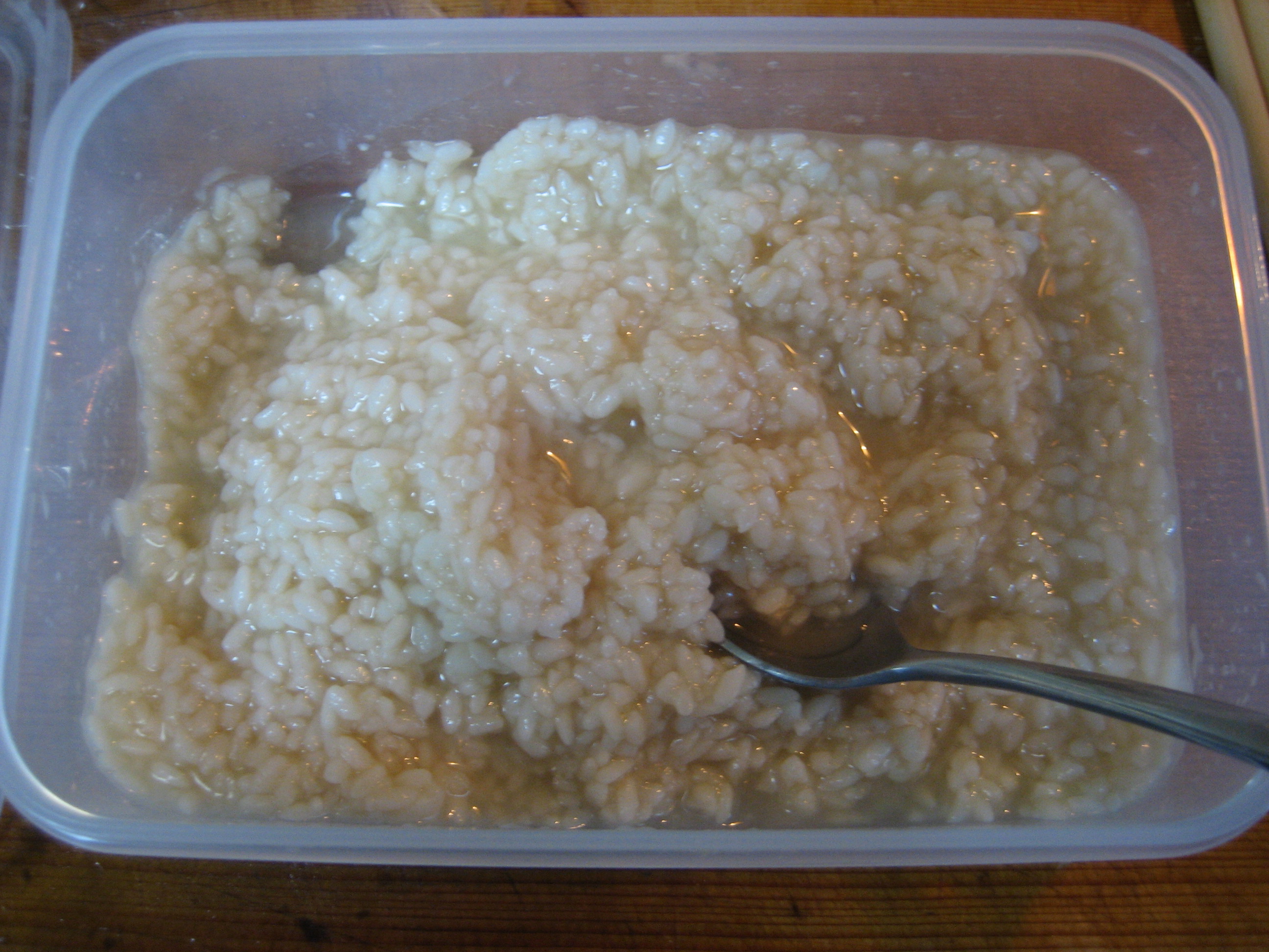 Salted Rice Malt (Shio Koji) | Food in Japan