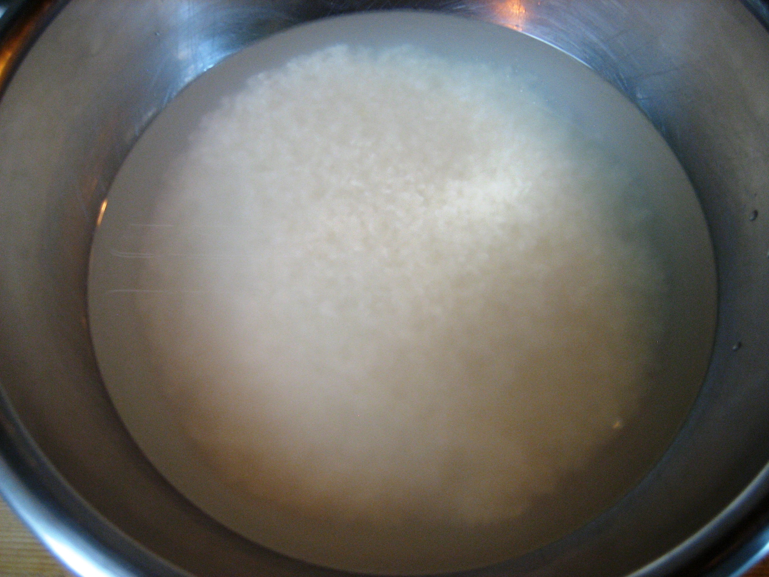 How to Make Steamed Rice (Gohan) | Food in Japan