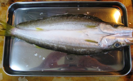 Japanese Dried Fish (Sakano no Himono) | Food in Japan