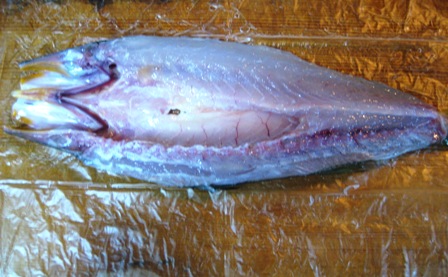 Japanese Dried Fish (Sakano no Himono) | Food in Japan