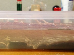 Japanese Marinated Mackerel (Shime Saba) | Food in Japan